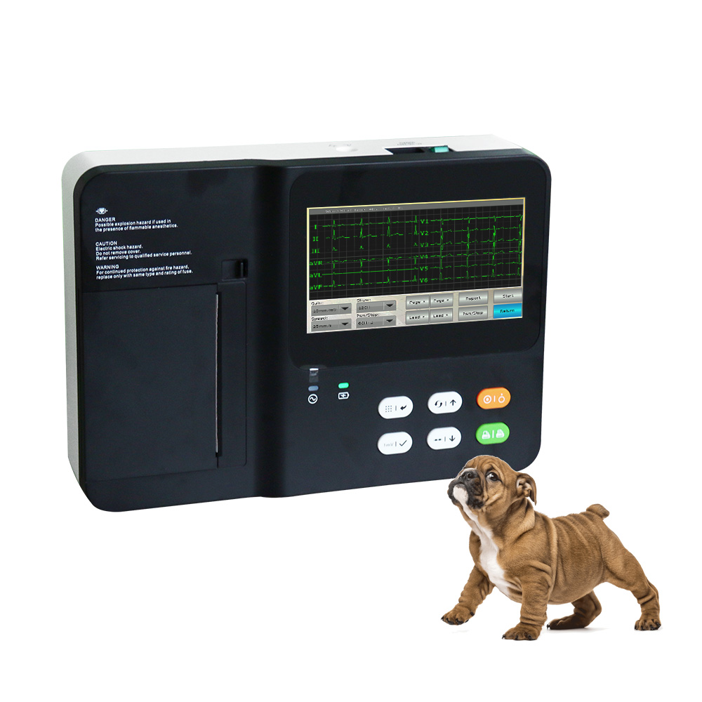 6-Channel Veterinary Electrocadiocgraph