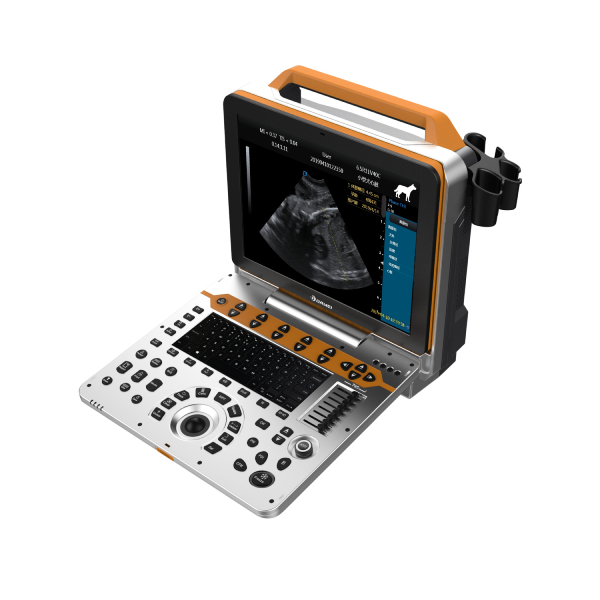 P60 THI TDI Doppler Ultrasound Diagnostic System for Pet Clinic